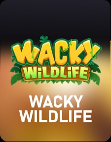 Play the best casino game in Kenya, Uganda, Nigeria, Tanzania | winsrush